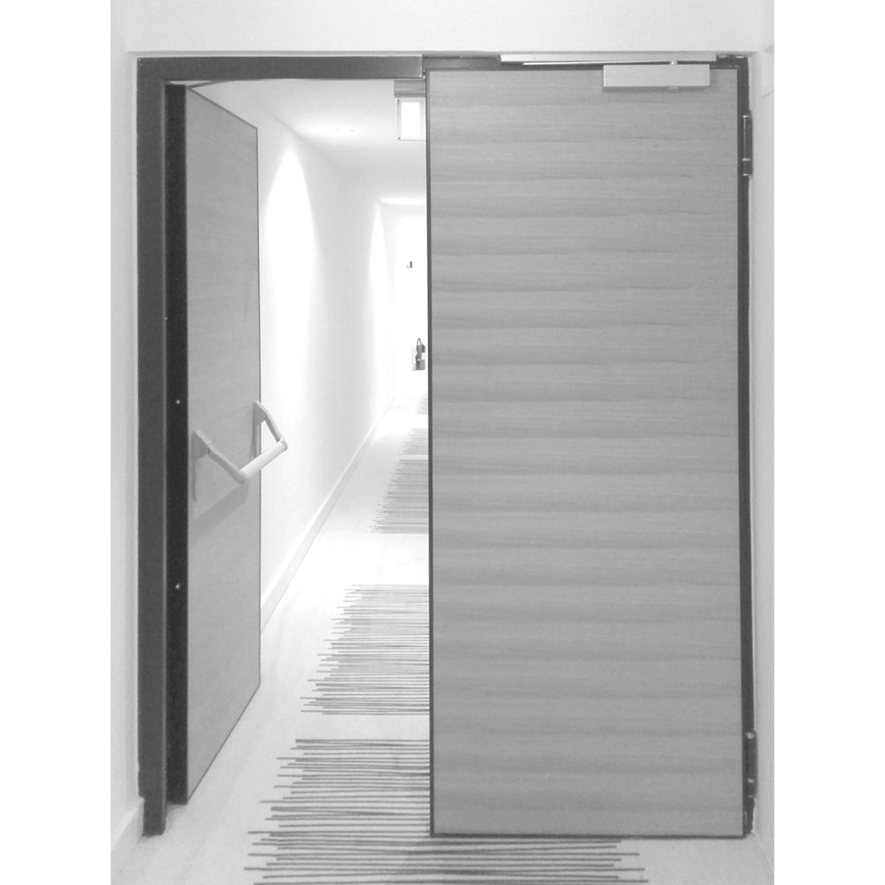 Steel fire doors / double-leaf FERRO-M 62 fire | ASSA ABLOY